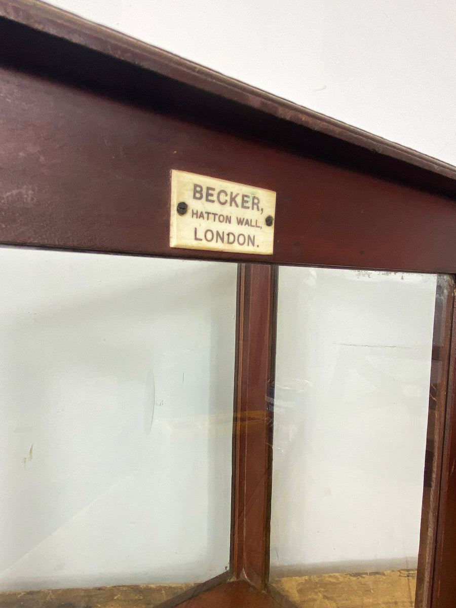 Late 19th Century Vintage Scientific Display Case by Becker, Hatton Wall